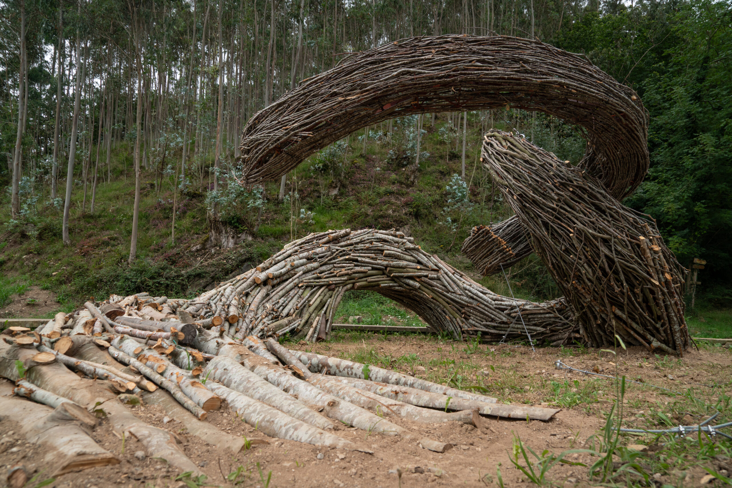 El abrazo de la Anjana – Jordi NN